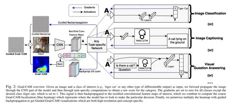 Grad CAM Visual Explanations From Deep Networks
