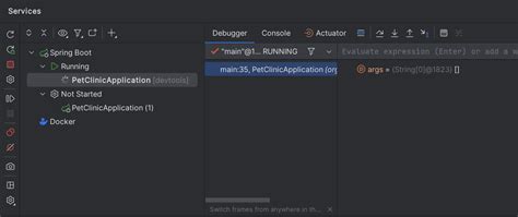 Intellij 2023 1 Ultimate Version New Ui Debug Option Step Into Step