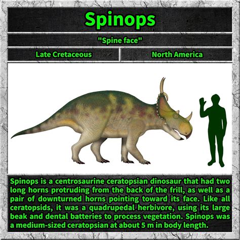 Spinops