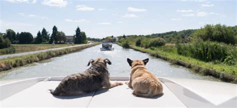 Dog Friendly Boat Rentals Pet Friendly Houseboats Le Boat