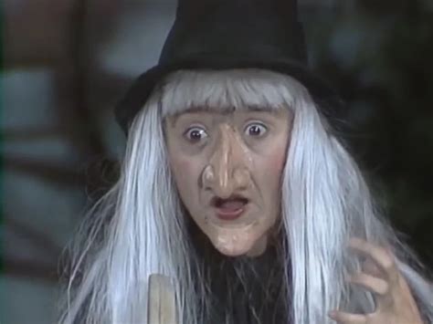 Bruxa Baratuxa Wiki Chaves Fandom