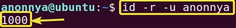 The Id Command In Linux 7 Practical Examples LinuxSimply