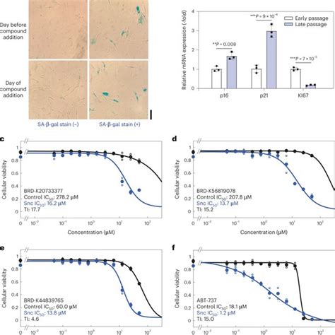 Graph Neural Networks Predict Senolytic Activity A Schematic Of The Download Scientific