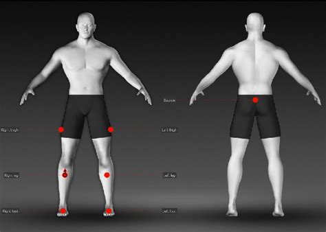 Figure 1 From A Comparison Of Gait Analysis Data Obtained