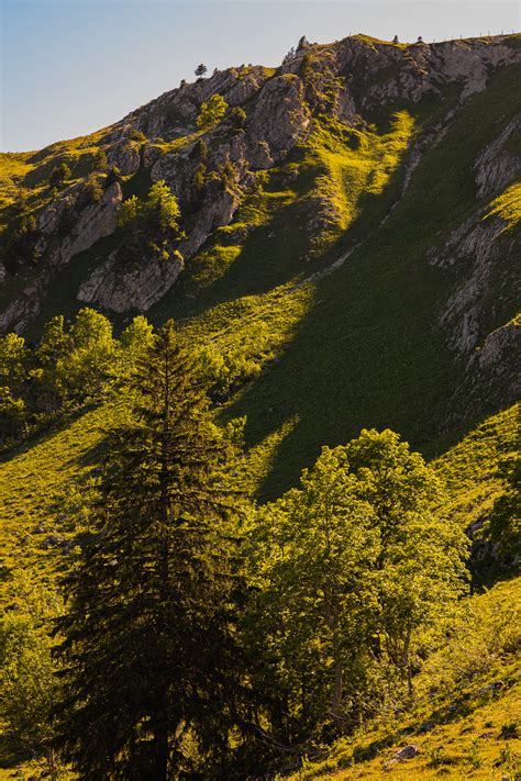 Jurassic Cliffs 2 By Mountainskald On Deviantart