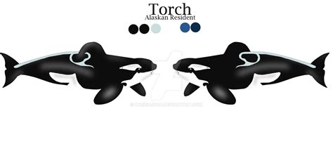 Torch Reference Sheet By Narniaorca On Deviantart