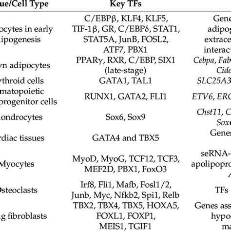 Currently Implemented Models For Predicting Super Enhancers A Rose