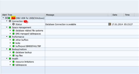 DB Instance Database Status Gray SAP Community