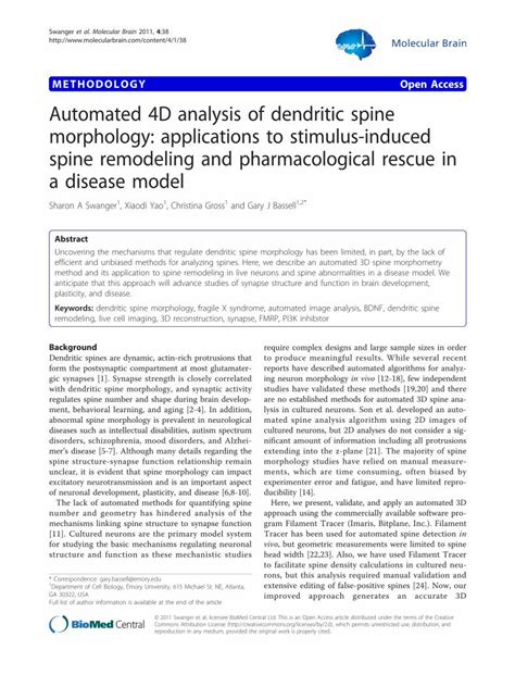 Pdf Automated 4d Analysis Of Dendritic Spine Morphology Applications