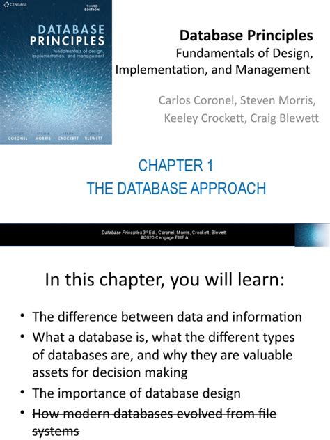 bb mist 320 chapter 1 pdf databases computing