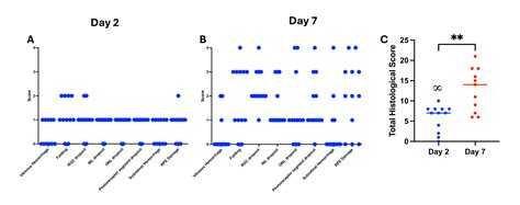 Video Induction Of Retinal Ischemia Reperfusion Injury In A Mouse Eye Video Induction Of Retinal Ischemia Reperfusion Injury In A Mouse Eye