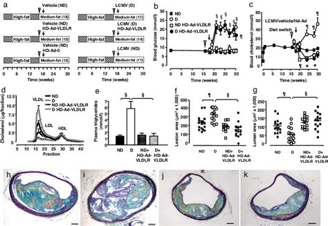 Hd Ad Vldlr Treatment Reduces The Marked Dyslipidemia In Diabetic