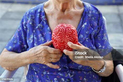 플라스틱 뇌를 가진 알아볼 수 없는 노인 여성 정신 건강 및 신경학 개념 알츠하이머병에 대한 스톡 사진 및 기타 이미지 알츠하이머병 노인 야외 Istock