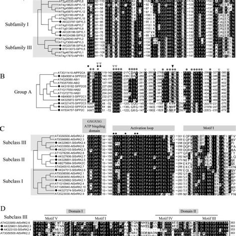 Sequence Alignments And Phylogenetic Trees Of The Pyl Pp2c And Snrk2 Download Scientific