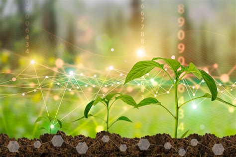 식물을 재배하기위한 농업 기술 및 자연의 생물학 및 화학 분야의 과학 연구 농부의 손에 녹색 새싹이 살아 있습니다 유기적 디지털 배경 테크놀로지에 대한 스톡 사진 및 기타