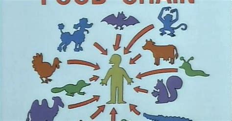 Simpsons Science Album On Imgur