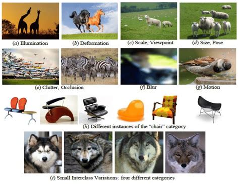 6 Challenges Of Object Identification © Cc By 40 From Liu L