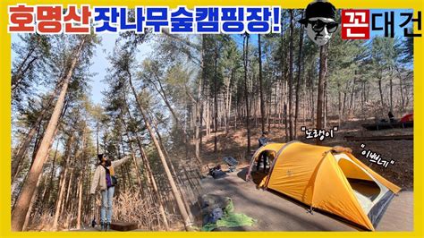 예약하기가 하늘에 별따기라며 호명산잣나무숲캠핑장 호명산트레킹코스 캠핑장리뷰 Youtube