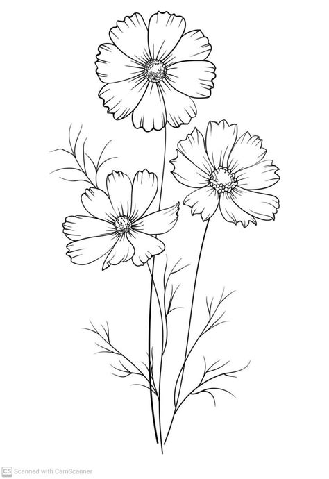 English 101 👉 គំនូរ ផាត់ពណ៌ ស ខ្មៅ សម្រាប់កូនតូចៗ ️👌