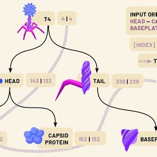 The Text To Visualization Method Demonstration Applied To Scene Tree
