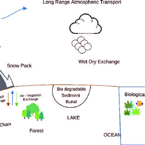 Fate Of Persistent Organic Pollutants In The Environment Download