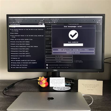Kate Franks On Linkedin Javascript Freecodecamp Coding