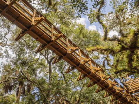 Canopy Trail Bridge Over 5 Royalty Free Licensable Stock Illustrations Canopy Trail Bridge Over 5 Royalty Free Licensable Stock Illustrations
