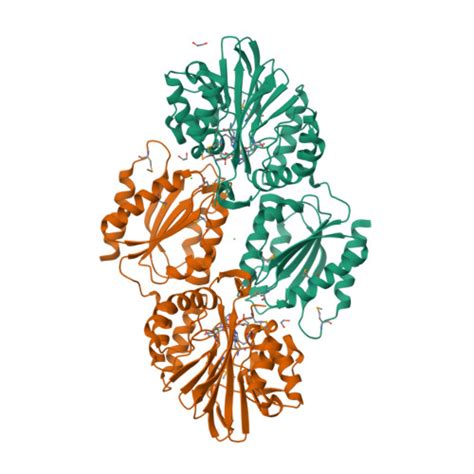 Rcsb Pdb 1vme Crystal Structure Of Flavoprotein Tm0755 From Thermotoga Maritima At 1 80 A