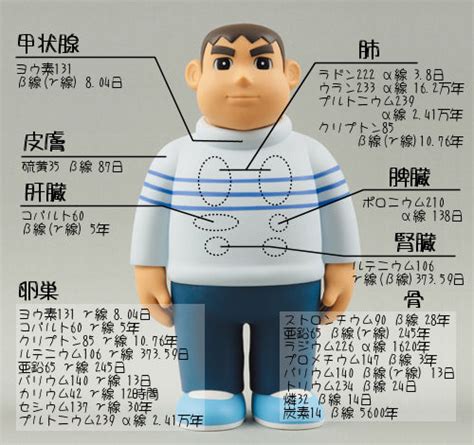 放射線の人体への影響 チラシの裏