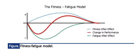 Tapering And Peaking Why And How Stronger By Science