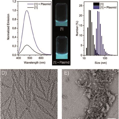 Self Assembly Of Aie Active Amphiphiles Followed By The Formation Of