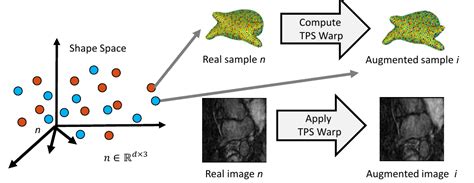 Data Augmentation For Deep Learning Shapeworks