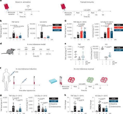 Resolving Sepsis Induced Immunoparalysis Via Trained Immunity By
