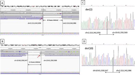 Aligned Reads Shown On Igv And Sanger Sequencing Results Of Derivative Download Scientific