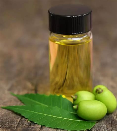Neem Oil Tips To Use It For Scabies Treatment