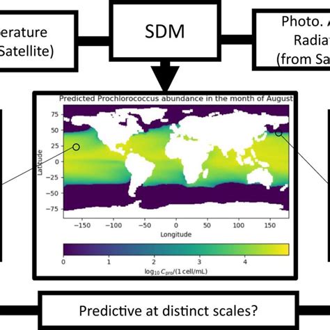Schematic Of The Operation Of A Species Distribution Model Sdms Like
