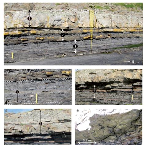 Schematic Depositional Model Of Deepwater Turbidite Lobe And