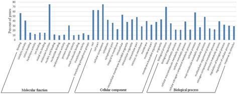 Functional Categorization Of Differentially Expressed Genes Based On