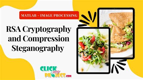 Matlab Image Processing Project Rsa Cryptography And Steganography