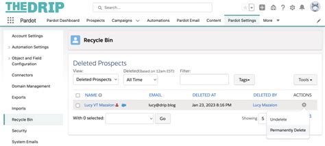 Pardot Archive And The Recycle Bin What To Delete When Pardot