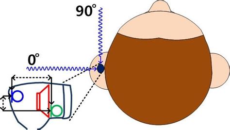 Dependency Of Causality Constraint On The Direction Of Noise Source In Download Scientific