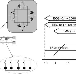 Schematic Of Fully Differential SAR ADC And Comparator Used Download Scientific Diagram