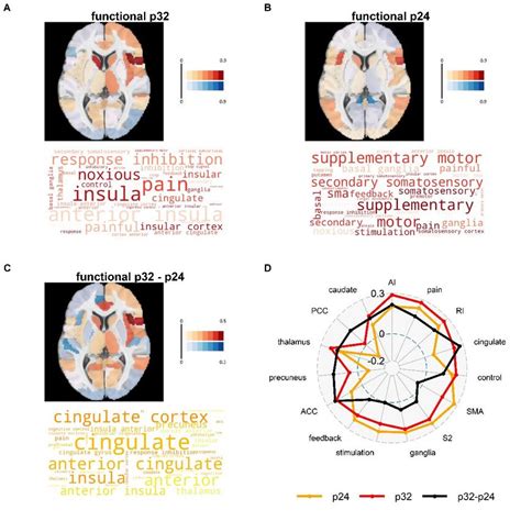 Associations Of Glutamate Loadings With Neurosynth Terms Show That P32 Download Scientific