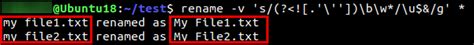 如何在 Linux 中重命名文件