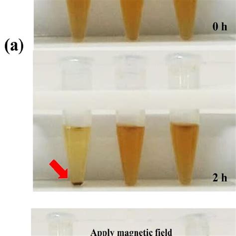Atr Ftir Spectra Of A Mnps B Pmampc Mnps And C Download