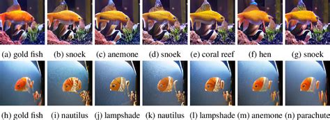 Foundation Model Oriented Robustness Robust Image Model Evaluation With Pretrained Models