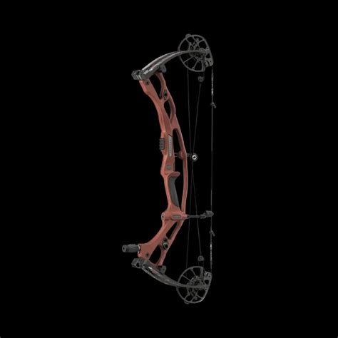 Hoyt Carbon Rx 10 Al Tiro