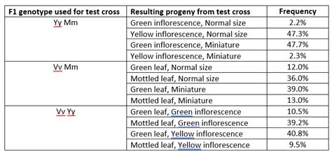 solved you re in the process of mapping three linked genes