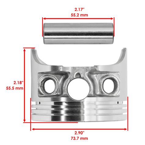 Piston And Ring Kit For Honda Fourtrax 300 Trx300big Red 250 Atc250es