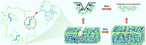 Creating Shape Memory Polymers From Biobased Resources Sustainable Polymer Energy Full